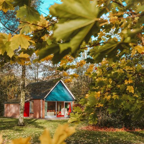 Vakantiepark Sallandshoeve in Nieuw Heeten | BungalowSpecials